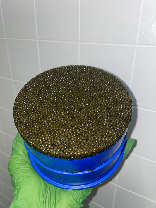 VIP CAVIAR DELIVERY – CAVIAR MARKET